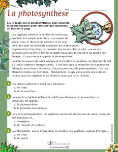 Géniepublication | Catalogue | La photosynthèse